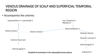 Scalp forensic antomy | PPTX