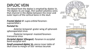 Scalp forensic antomy | PPTX