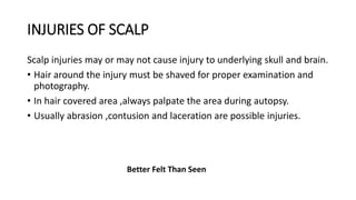 Scalp forensic antomy | PPTX