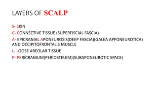 Scalp forensic antomy | PPTX