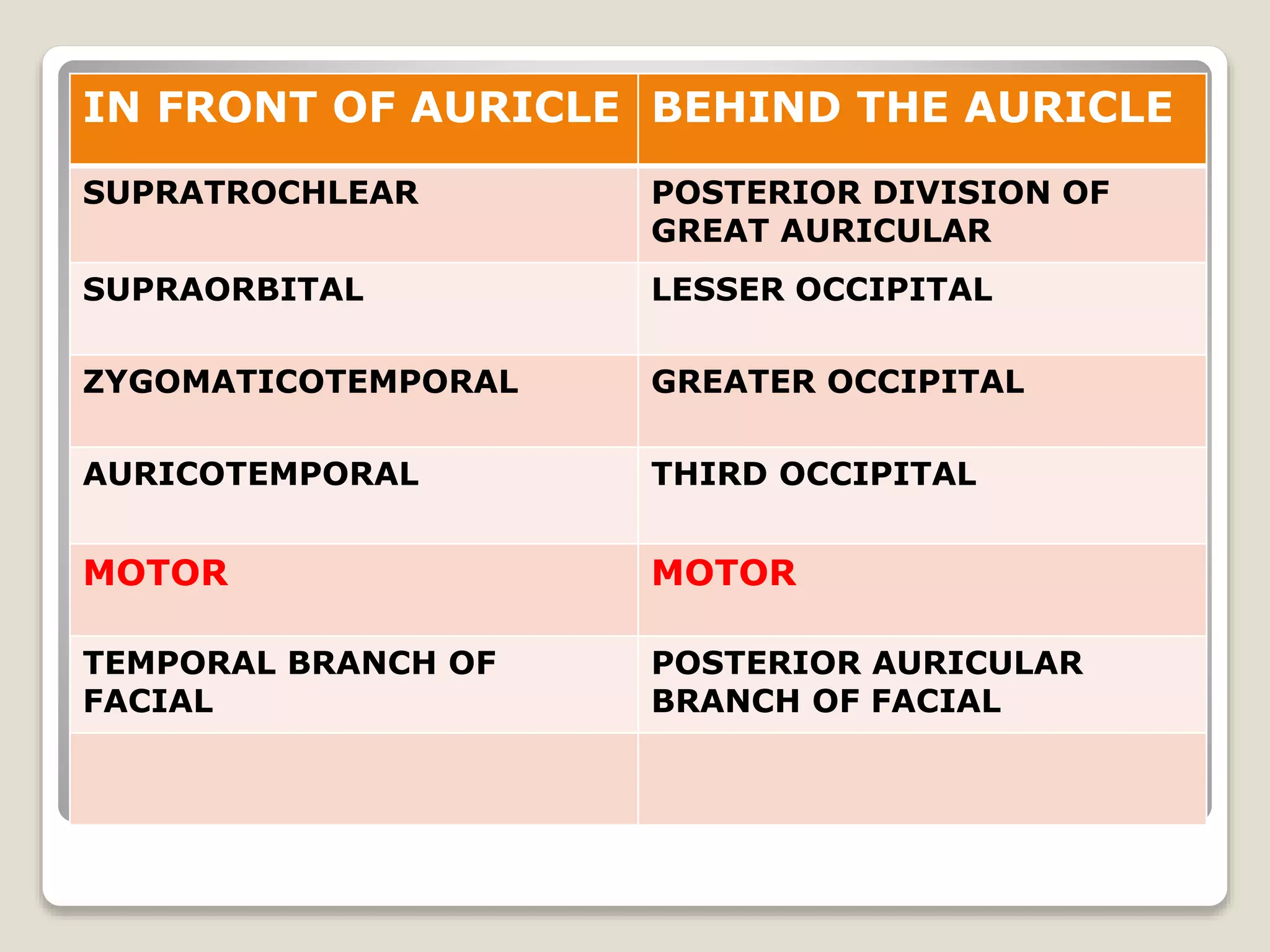 Anatomy of scalp | PPTX