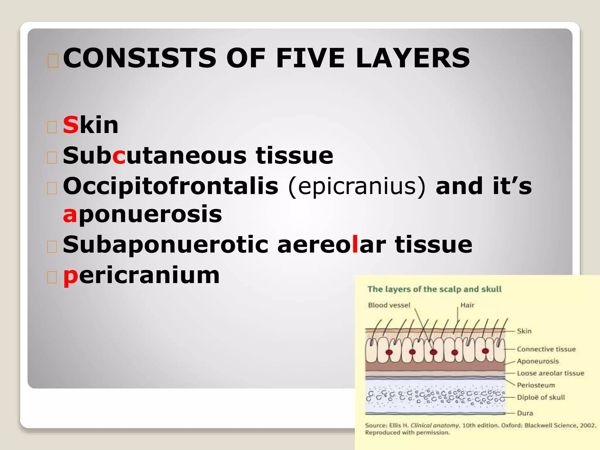 Anatomy of scalp | PPTX