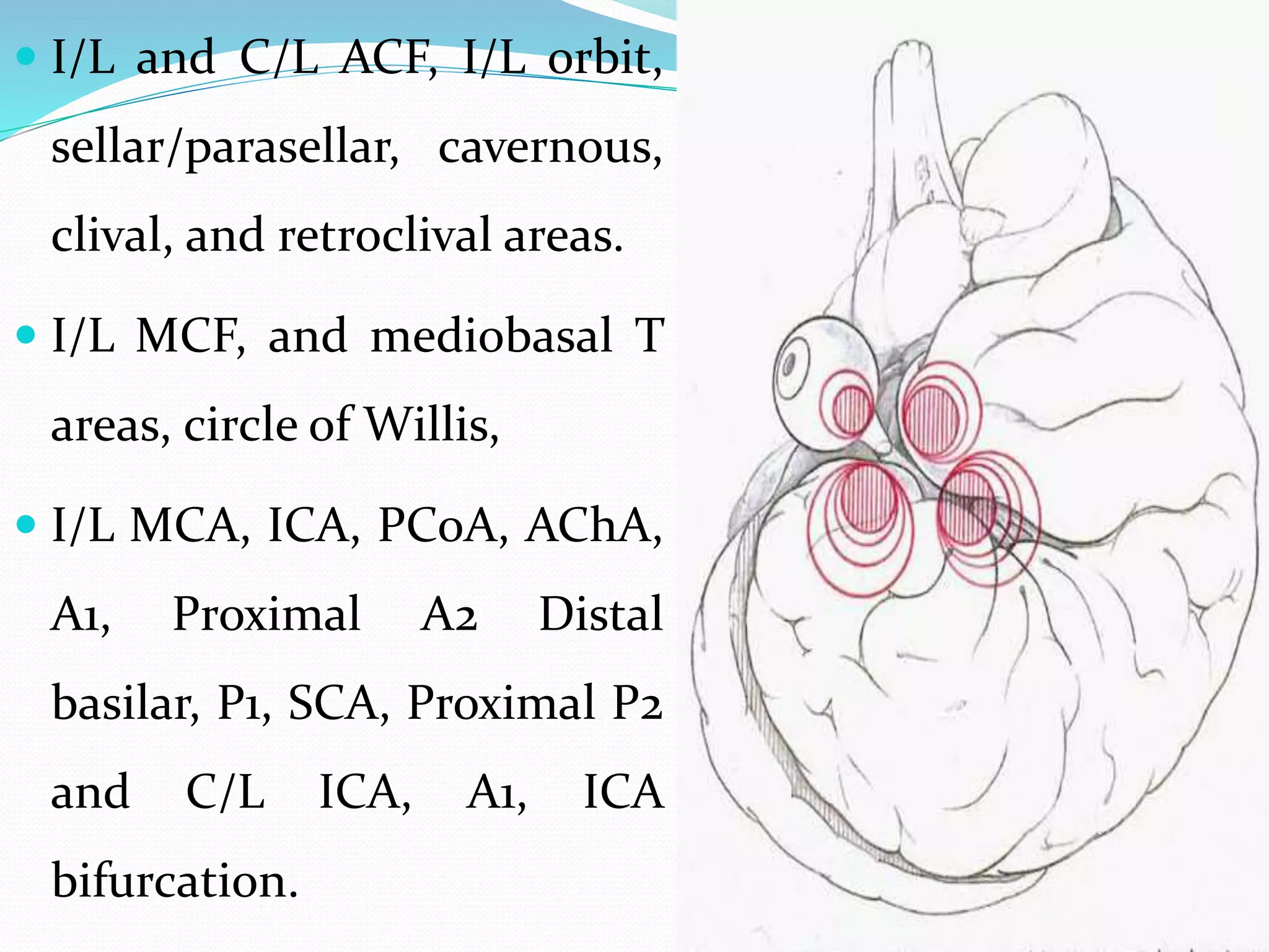 Scalp incision and blood supply | PPTX
