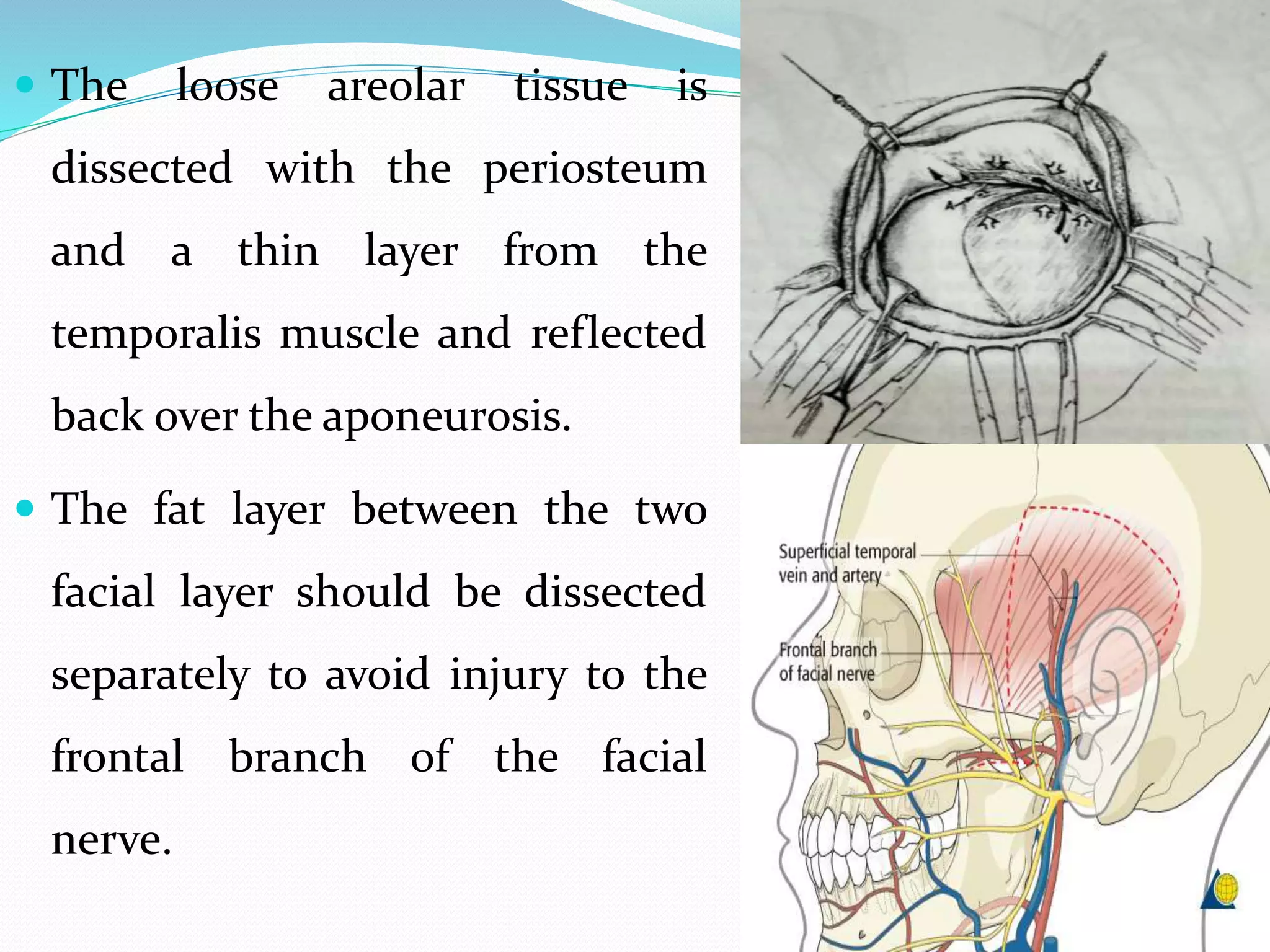 Scalp incision and blood supply | PPTX