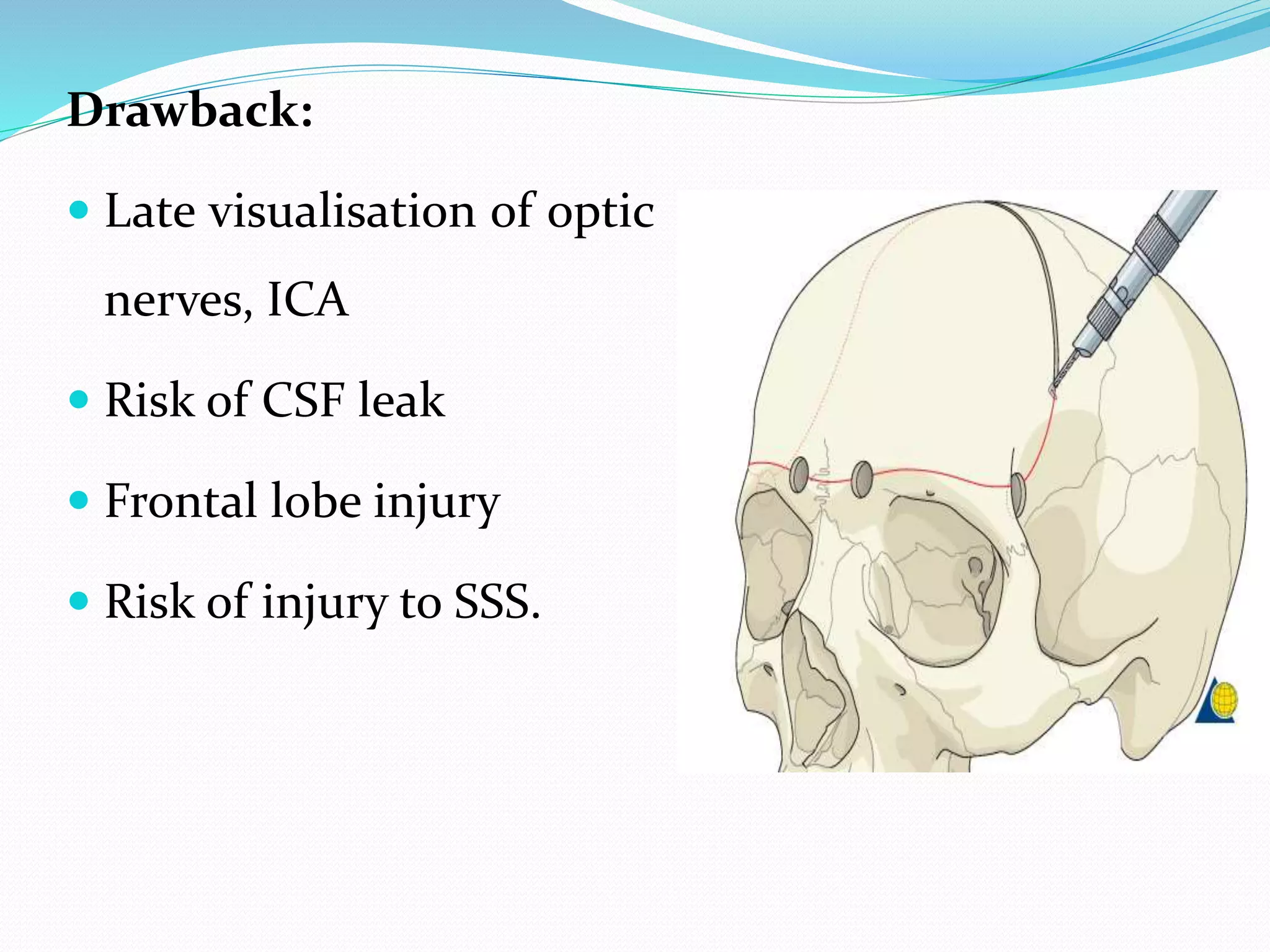 Scalp incision and blood supply | PPTX
