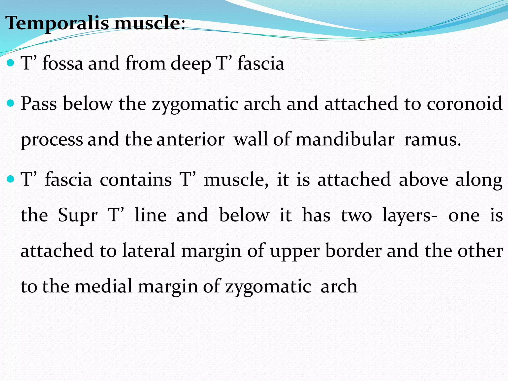 Scalp incision and blood supply | PPTX