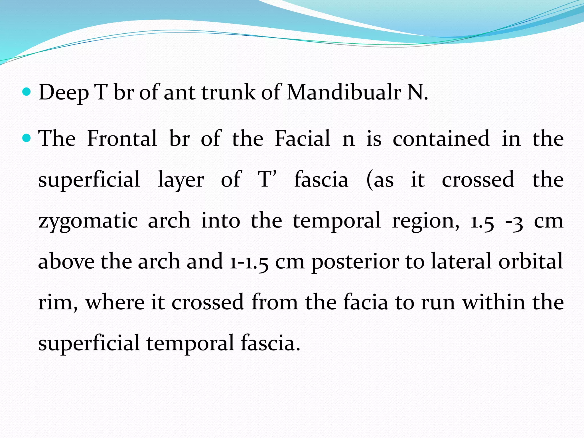 Scalp incision and blood supply | PPTX