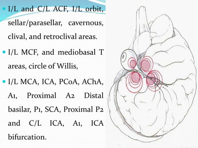 Scalp incision and blood supply | PPTX