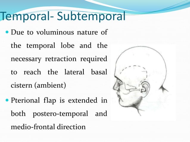 Scalp incision and blood supply | PPTX