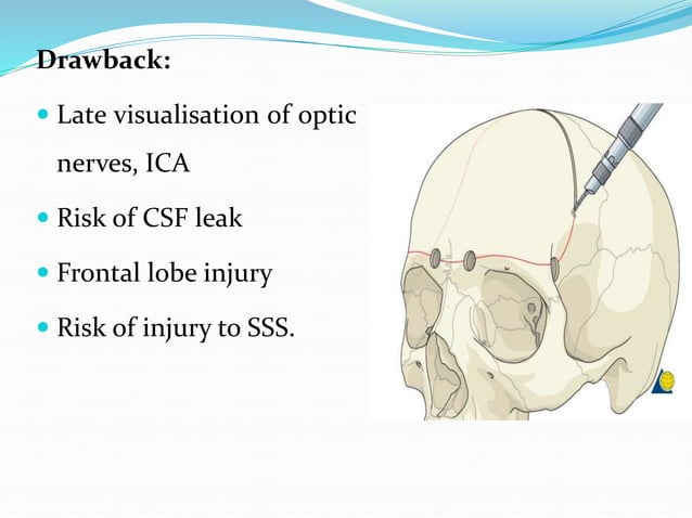 Scalp incision and blood supply | PPTX
