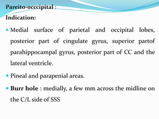 Scalp incision and blood supply | PPTX