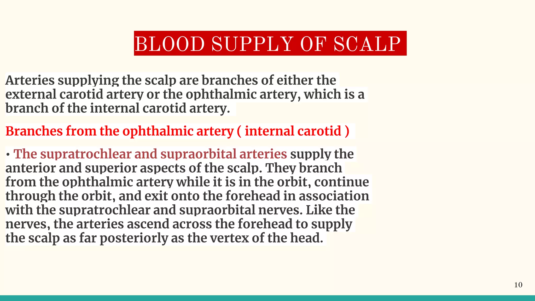 Scalp : Nerve & Blood Supply . | PPTX