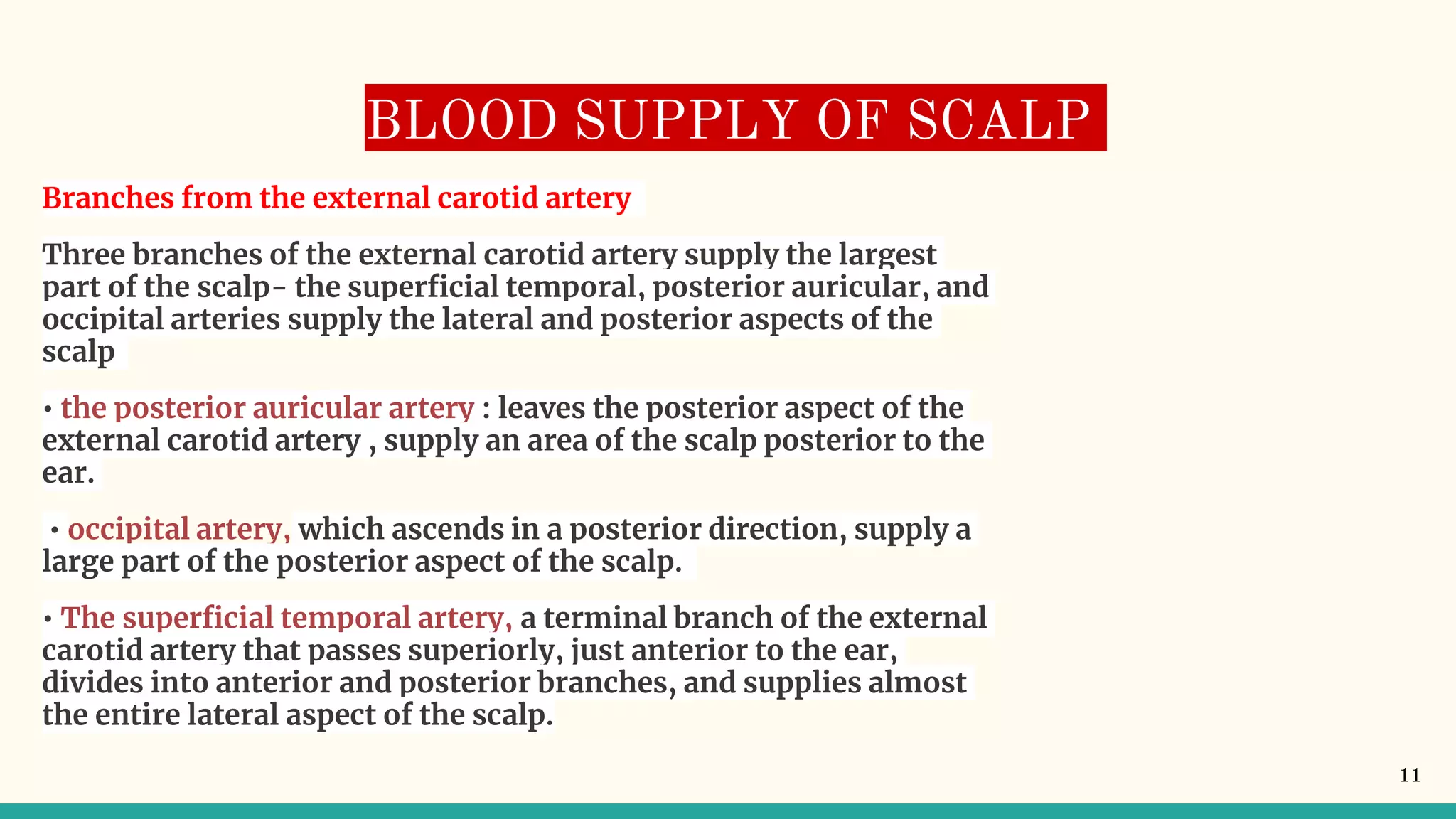 Scalp : Nerve & Blood Supply . | PPTX