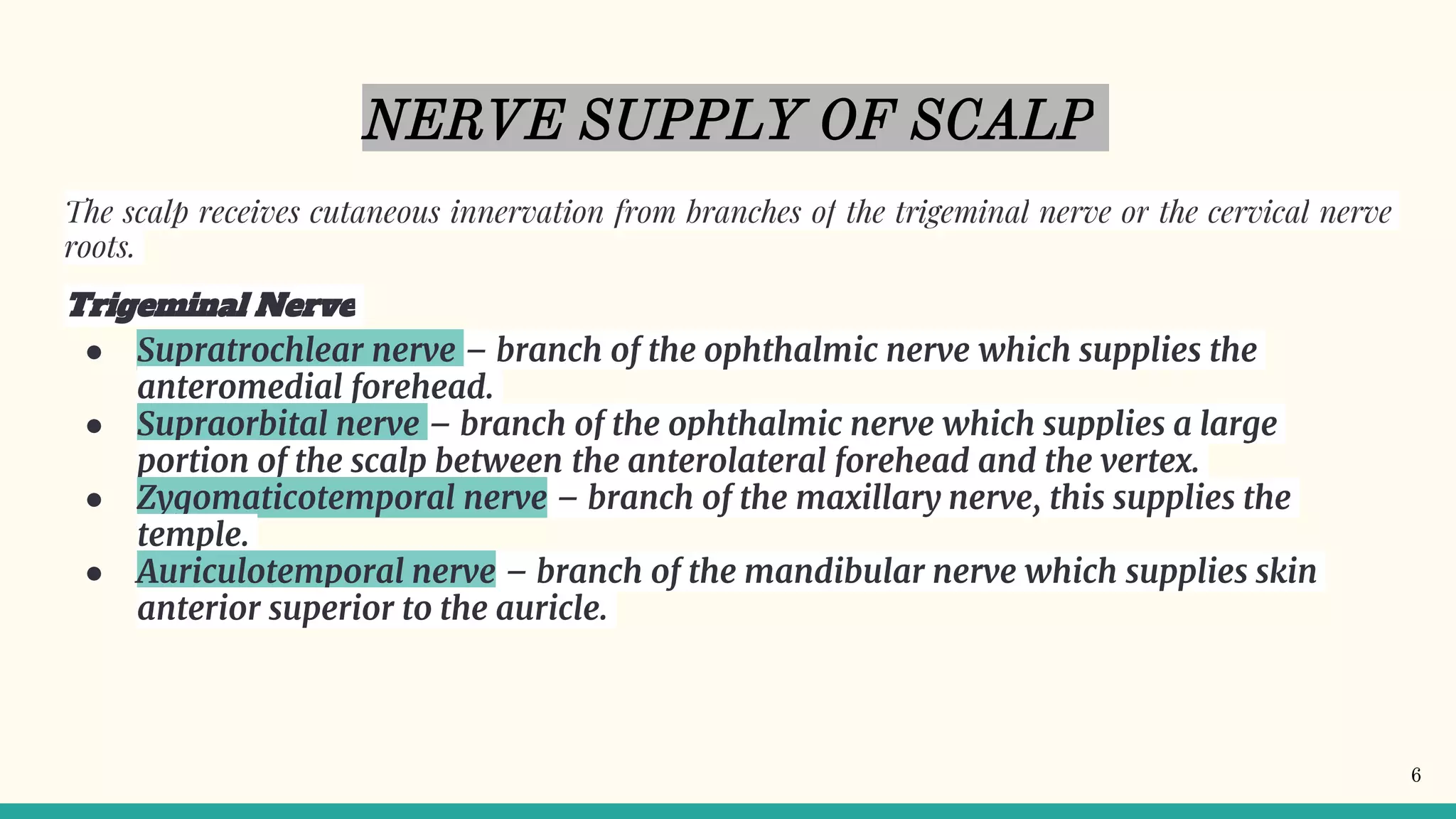 Scalp : Nerve & Blood Supply . | PPTX