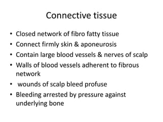 SCALP: tissue that covers calvaria of skull | PPT