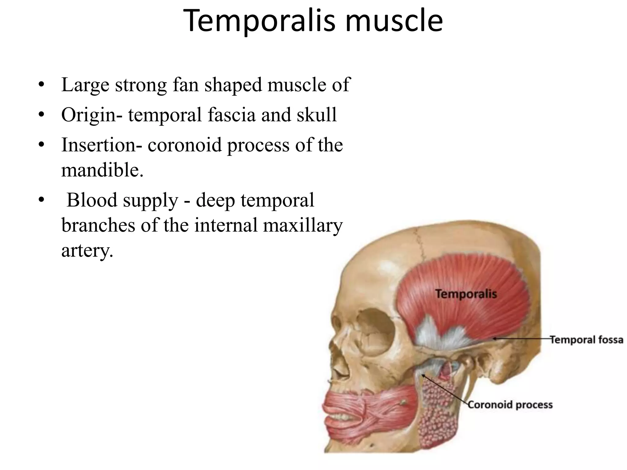 Scalp reconstruction | PPTX