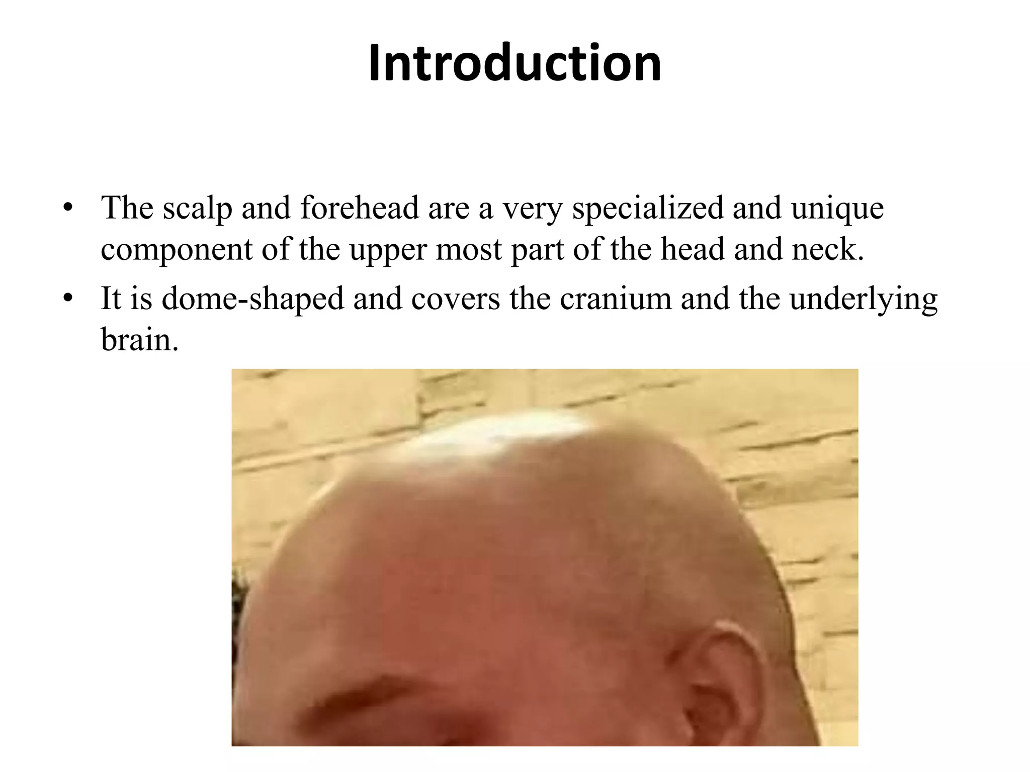 Scalp reconstruction | PPTX