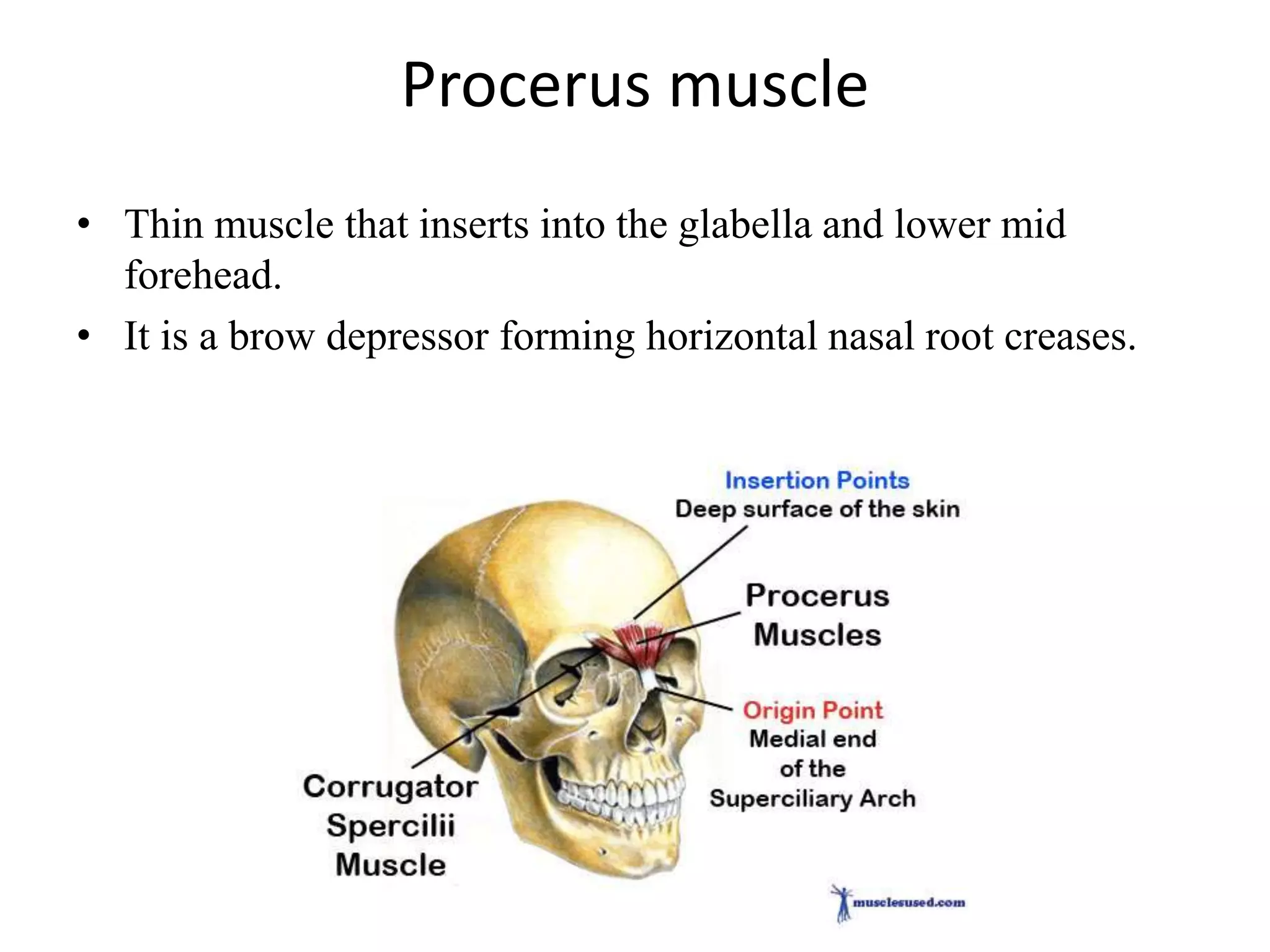 Scalp reconstruction | PPTX