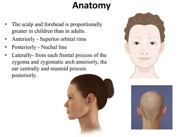 Scalp reconstruction | PPTX