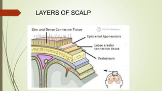 Ortichochea three flap scalp reconstruction by Dr Ali Mujtaba | PPTX