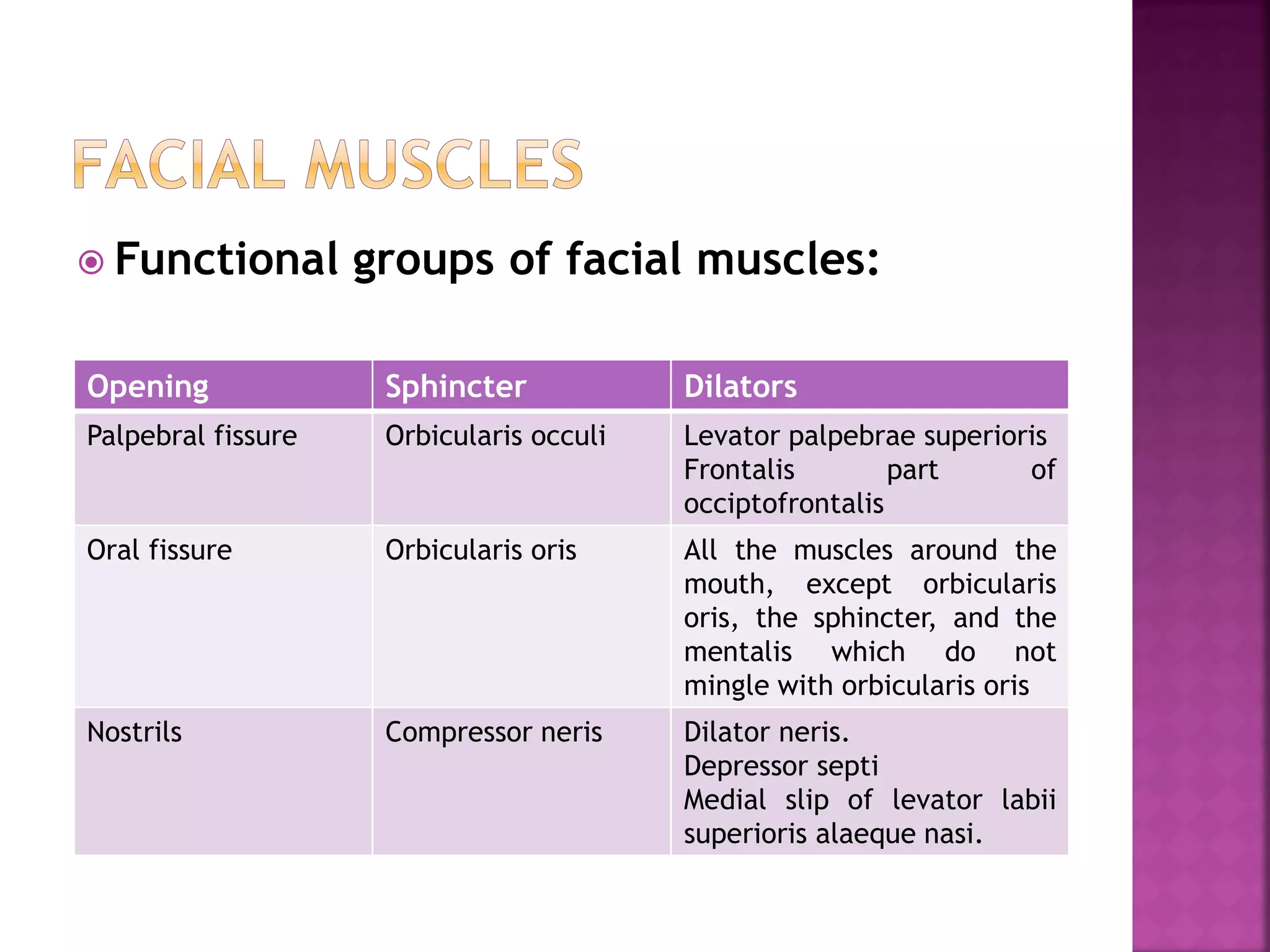 Scalp, temple and face | PDF
