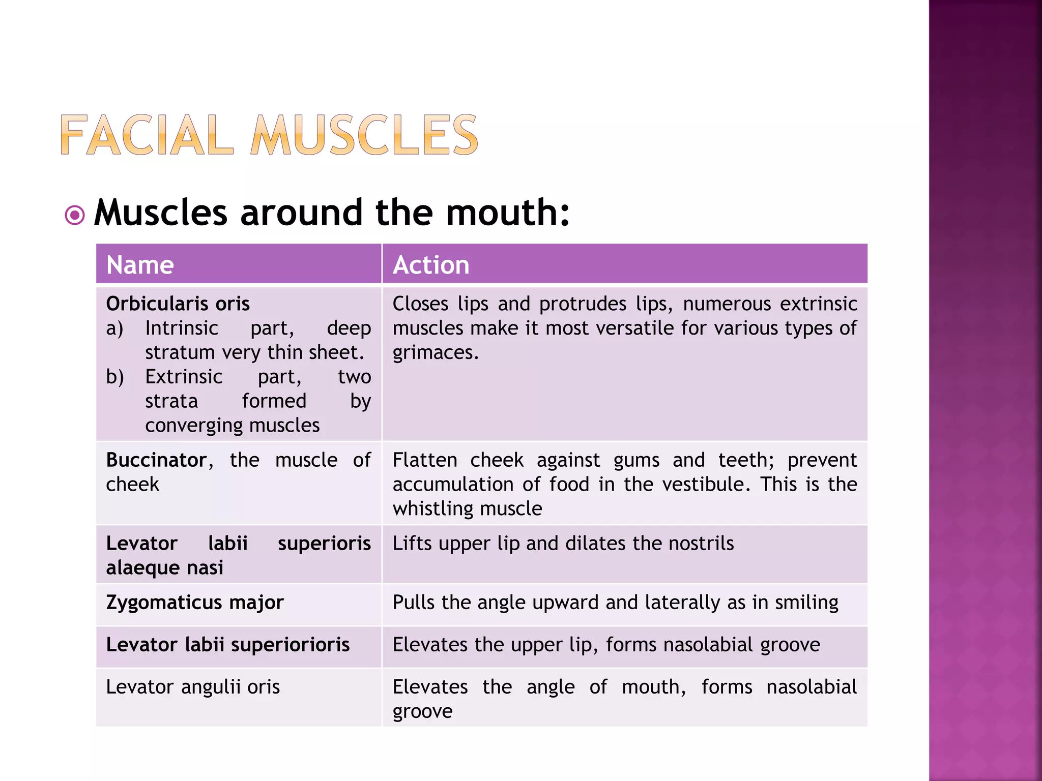 Scalp, temple and face | PDF