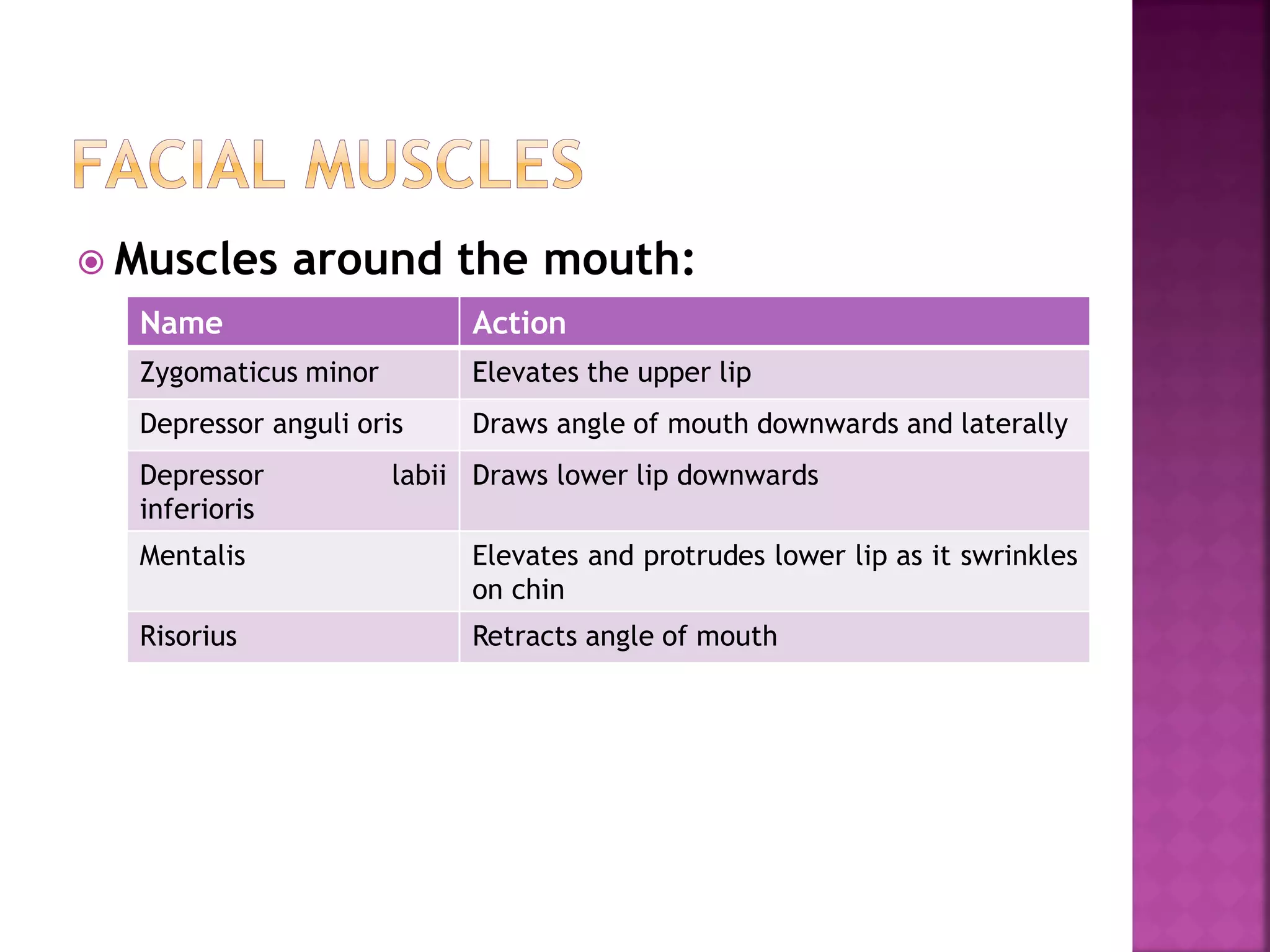 Scalp, temple and face | PDF