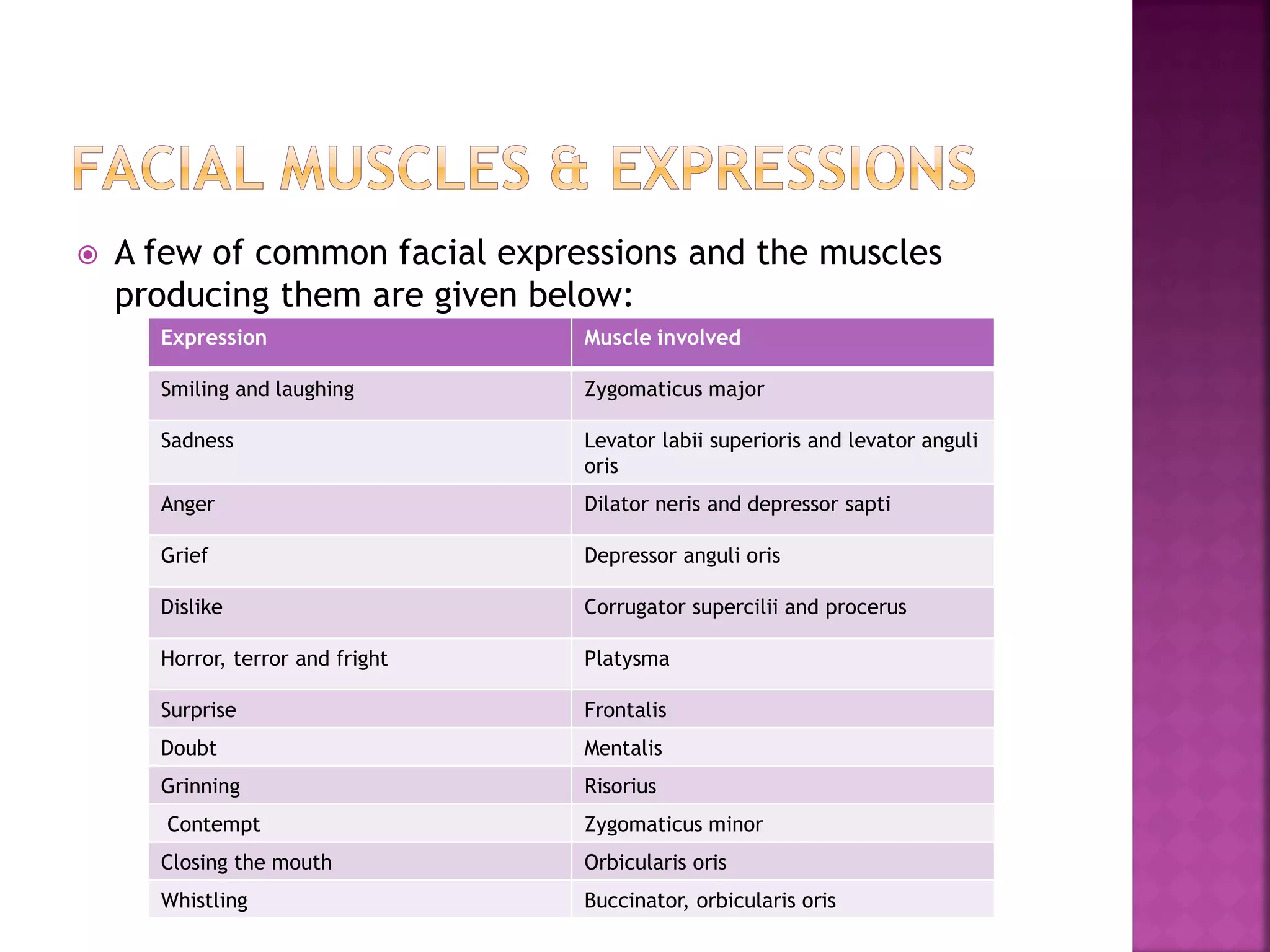 Scalp, temple and face | PDF
