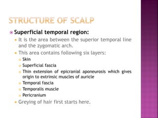 Scalp, temple and face | PDF