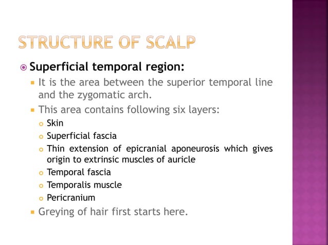 Scalp, temple and face | PDF