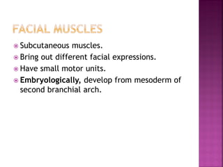 Scalp, temple and face | PDF