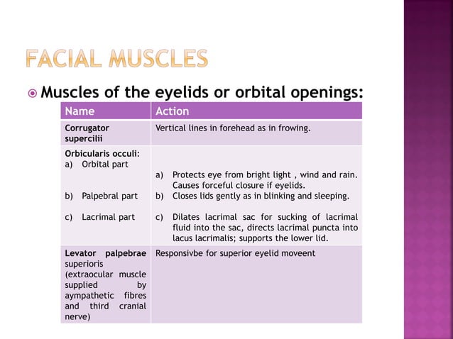 Scalp, temple and face | PDF