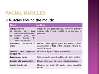 Scalp, temple and face | PDF