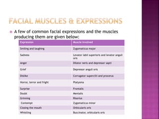 Scalp, temple and face | PDF