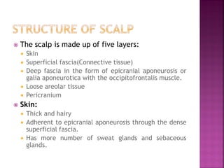 Scalp, temple and face | PDF