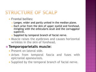 Scalp, temple and face | PDF