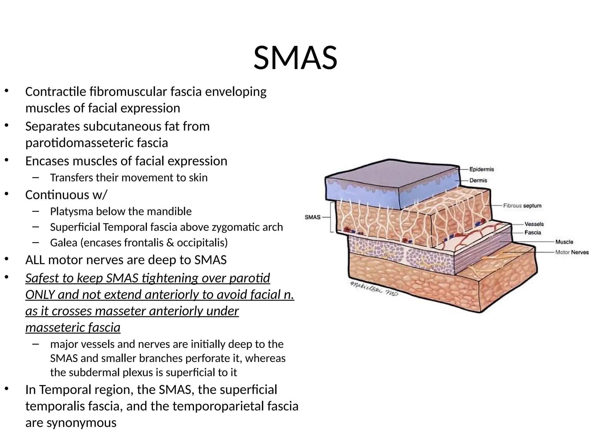 Anatomy of the Scalp, Temple, Face, including facelift | PPTX