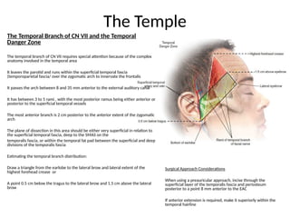 Anatomy of the Scalp, Temple, Face, including facelift | PPTX