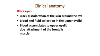 SCALP by Furqan Shah bachelor of science in anaesthesia.pptx