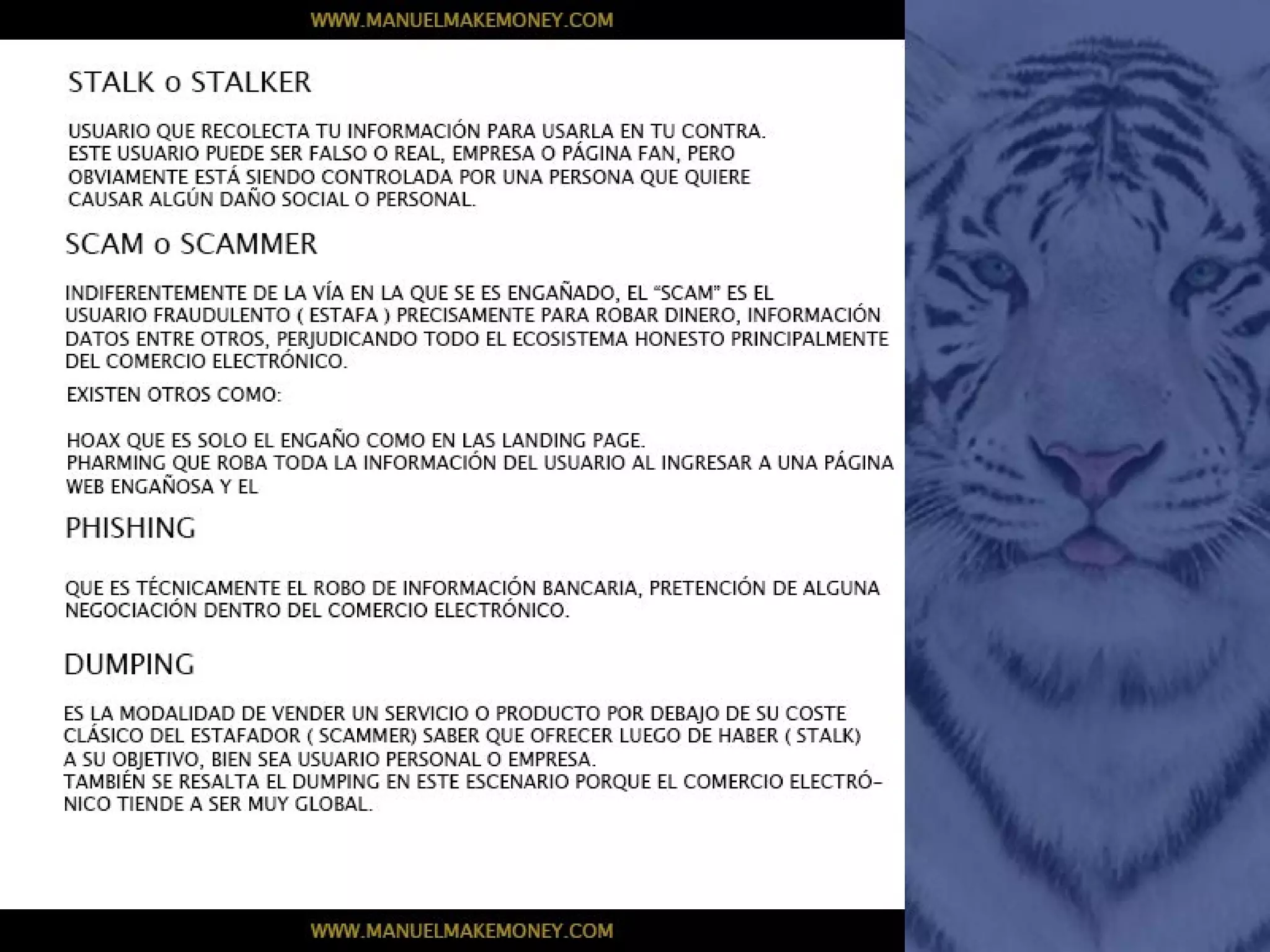 Scam, Phishing & Impeachment.pdf