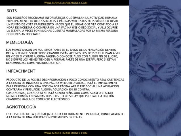 Scam, Phishing & Impeachment.pdf