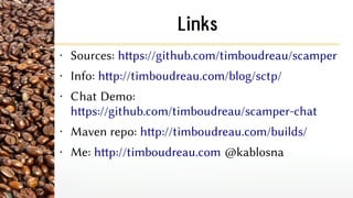 Using SCTP with Scamper and Netty | PDF