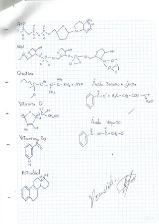 Formulas de Bioquímica | PDF