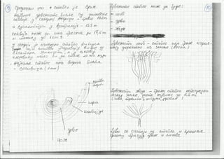 Biologija priprema | PDF