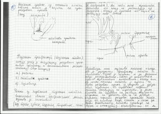 Biologija priprema | PDF