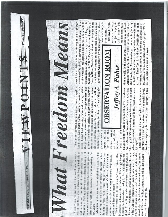 What Freedom Means | PDF