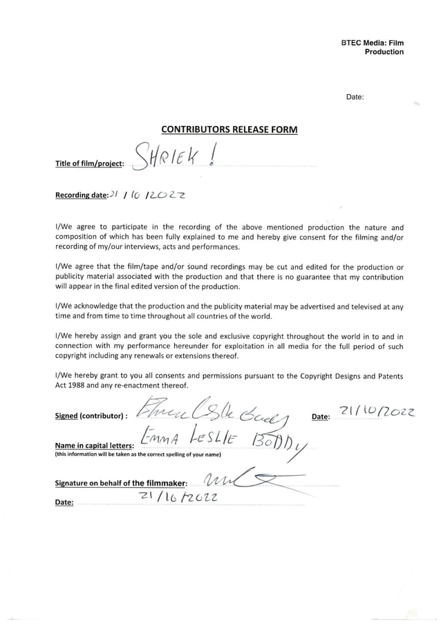 Pre production - (2) | PDF