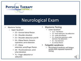 Scan Exam | PPTX