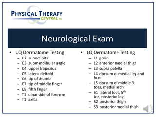 Scan Exam | PPTX