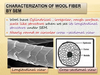 Scaning electron microscop | PPTX